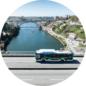 STCP – Novas Linhas